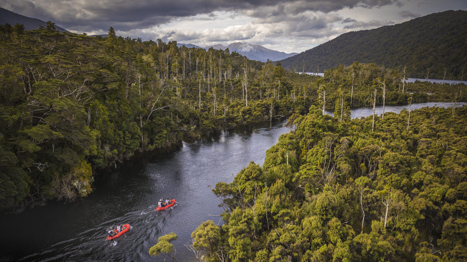 GODZONE TO MAKE TRIUMPHANT RETURN | AWS Legal